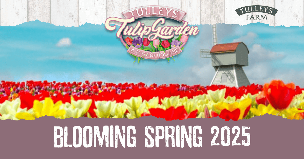 Contact Us / Find Us